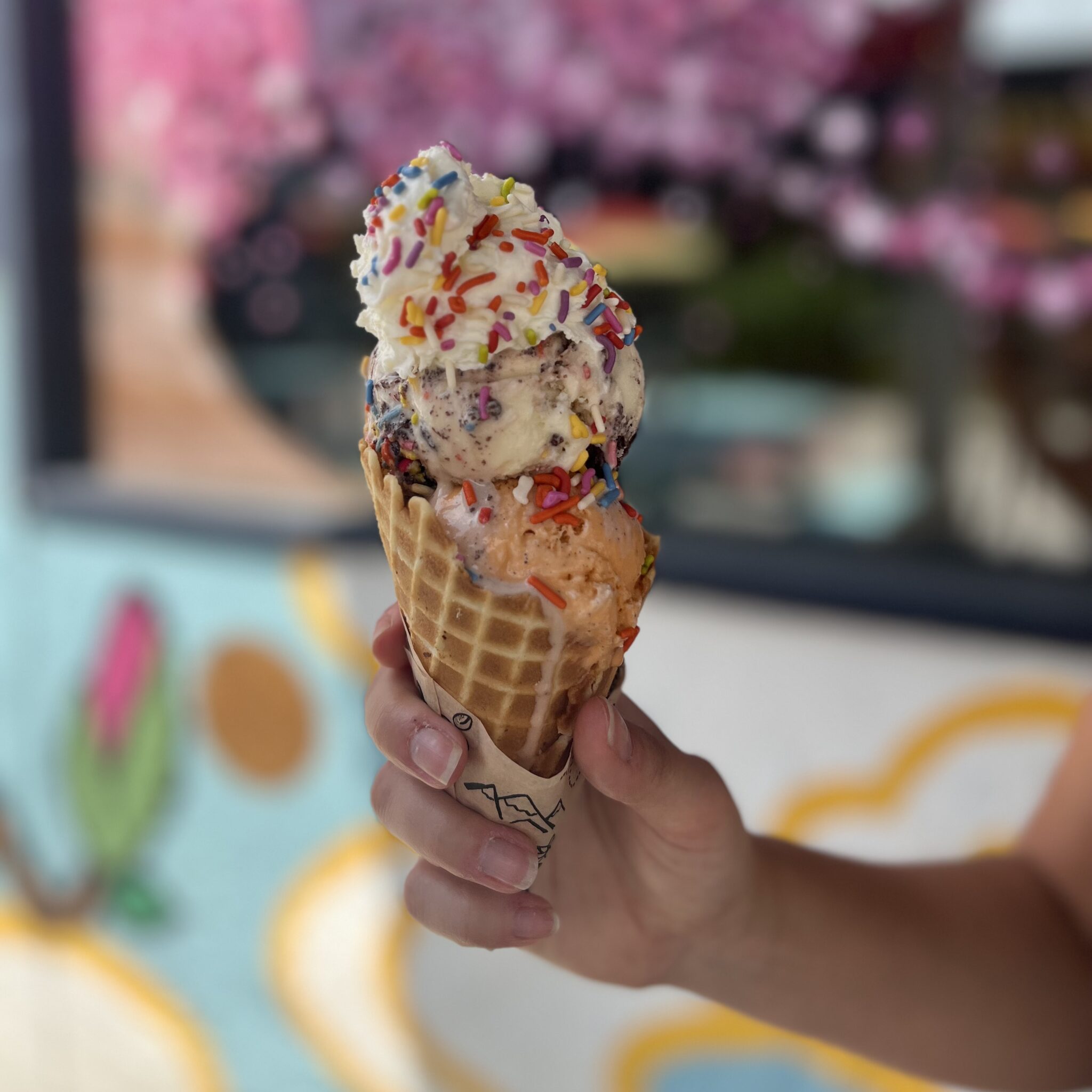 The U District Scoop: Where to Find the Best Ice Cream in Town | U ...